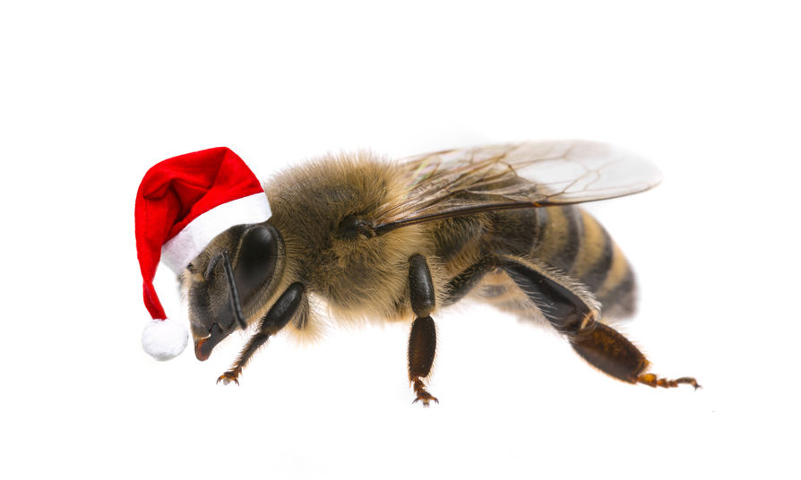 bee festive • Manuka Corner