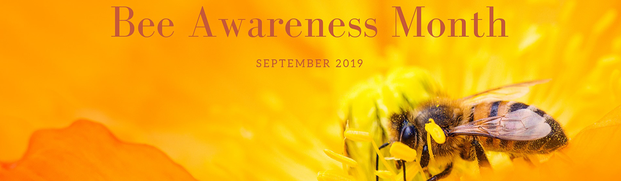 learn about bees month • Manuka Corner